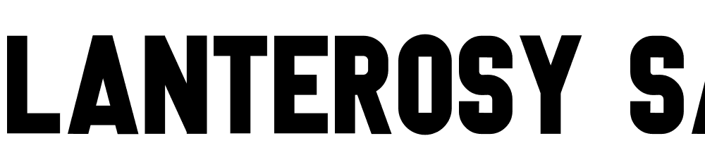 Fat Frank font Full Family Free [Download Now]