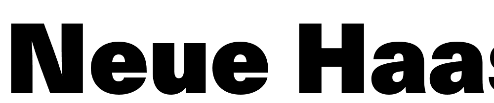 Neue Haas Grotesk Disp Pro font Full Family Free [Download Now]